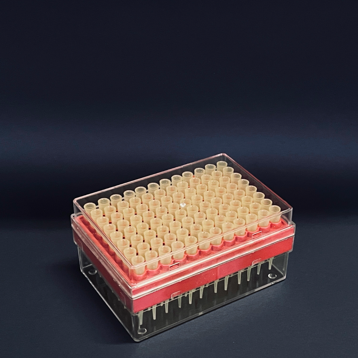 Yellow Tips in Rack Gilson Type 5–200 µl - monolab – Monolabshop